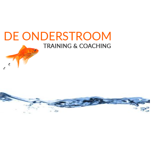 De Onderstroom - De Onderstroom Training & Coaching